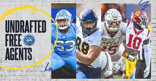 Vorstellung UDFA 2025 - Rams Germany e.V.